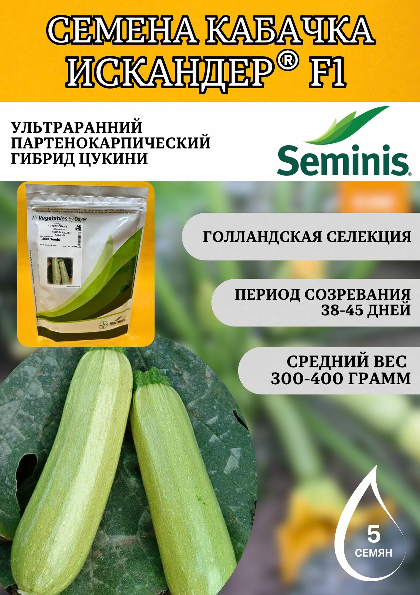 Семена кабачка Искандер F1 5 штук Semins, профессиональные семена