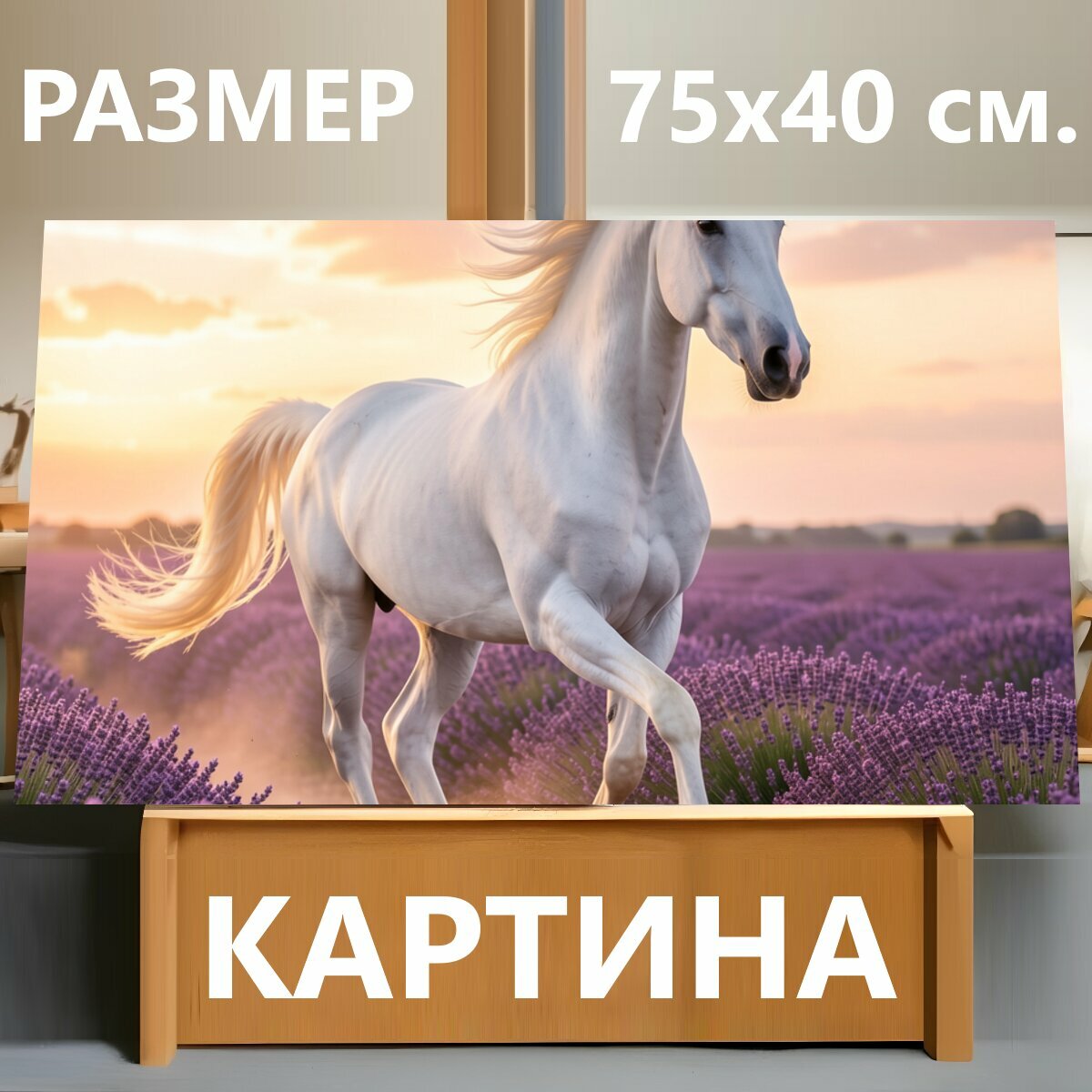 Картина на холсте "Белая лошадь в лавандовом поле. Изящный скакун на фоне фиолетовых цветущих рядов, мягкий закатный свет, пастельное небо и." на подрамнике 75х40 см. для интерьера