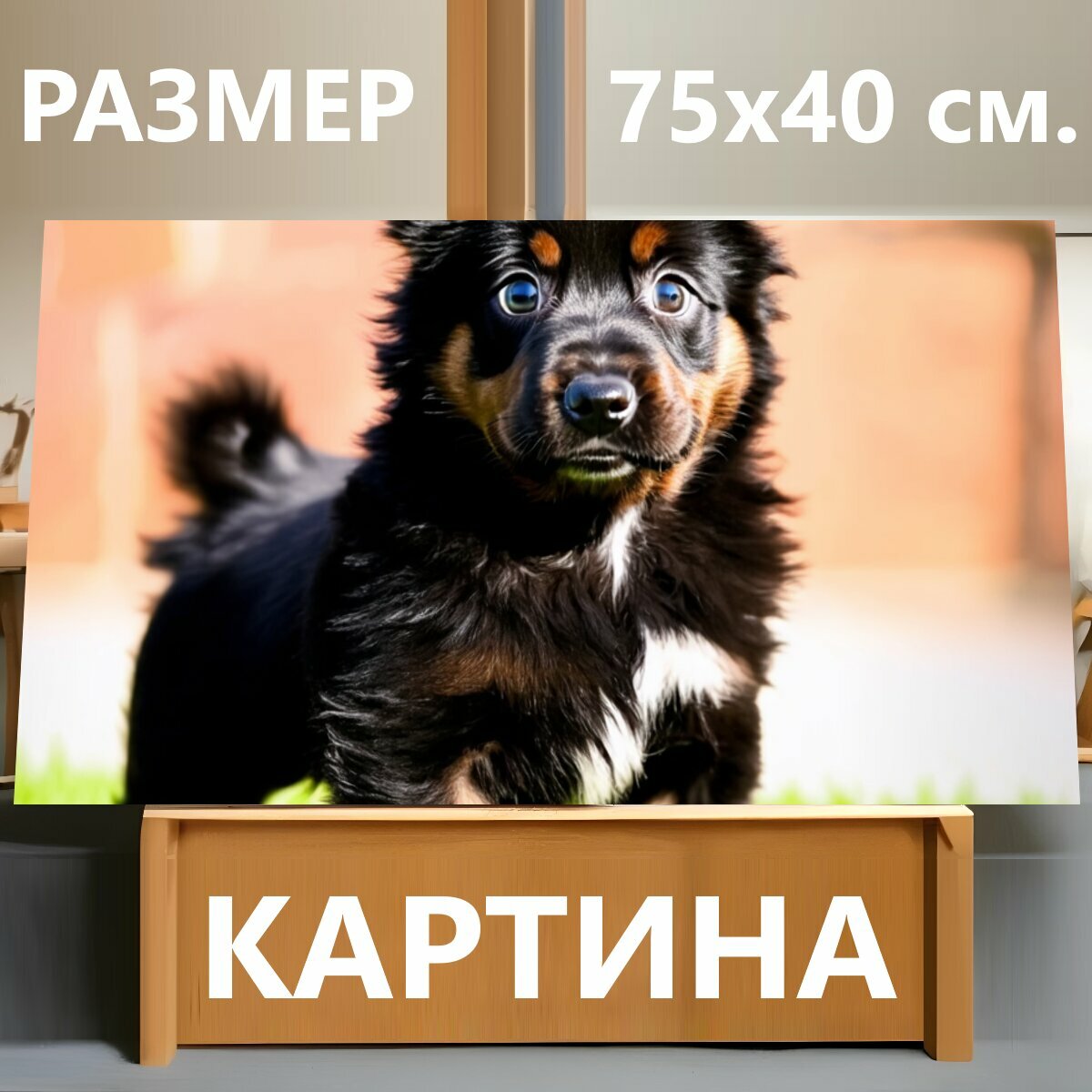 Картина на холсте "Черный шпиц puppy, маленький, пушистый, с большими глазами, уши стоят, на зеленой траве, размытый фон, кирпичная стена, солнечный свет" на подрамнике 75х40 см. для интерьера