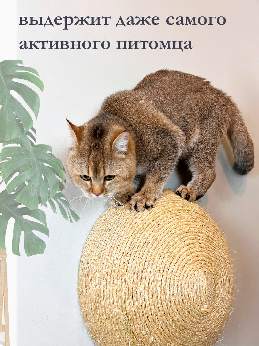 Когтеточка-полусфера Woolen — фото 1