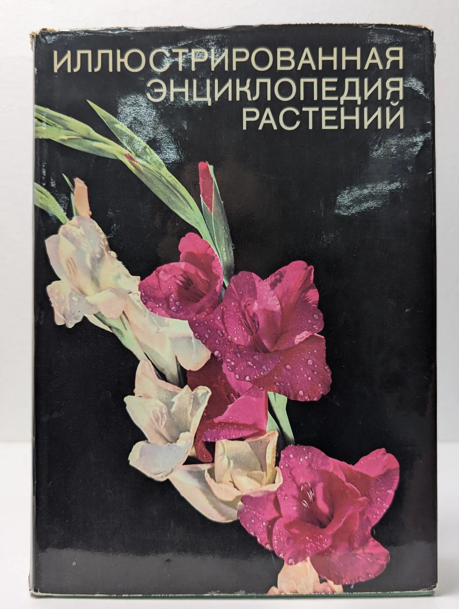 Иллюстрированная энциклопедия растений Сборник 1976