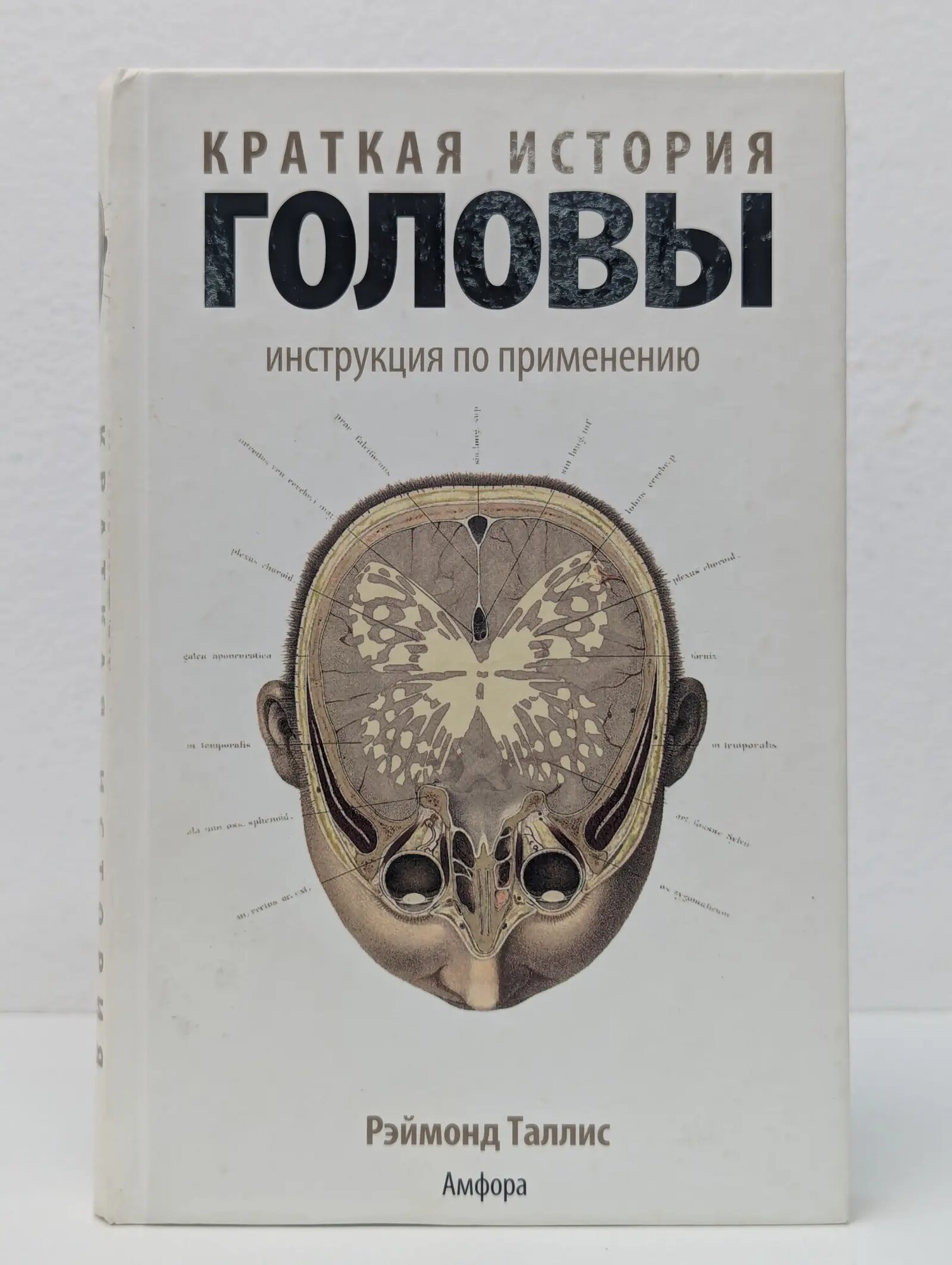 Краткая история головы. Инструкция по применению Таллис Рэймонд 2010