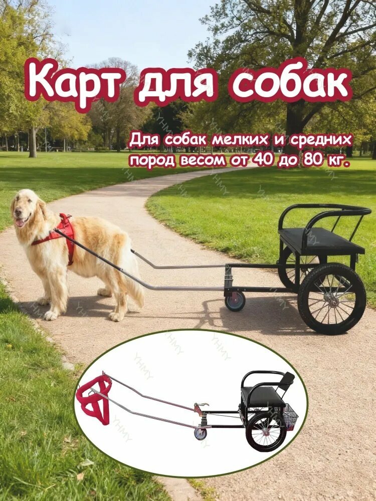 Велоприцеп-карт Для Собак С Двойным Тормозом, Для Хаски И Средних Пород (10-80 Кг), Складной, С Упряжью И Сиденьем