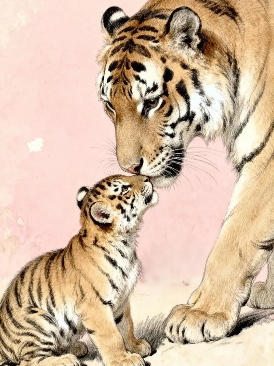 Картина по номерам на холсте Тигр Тигренок 40*50 см