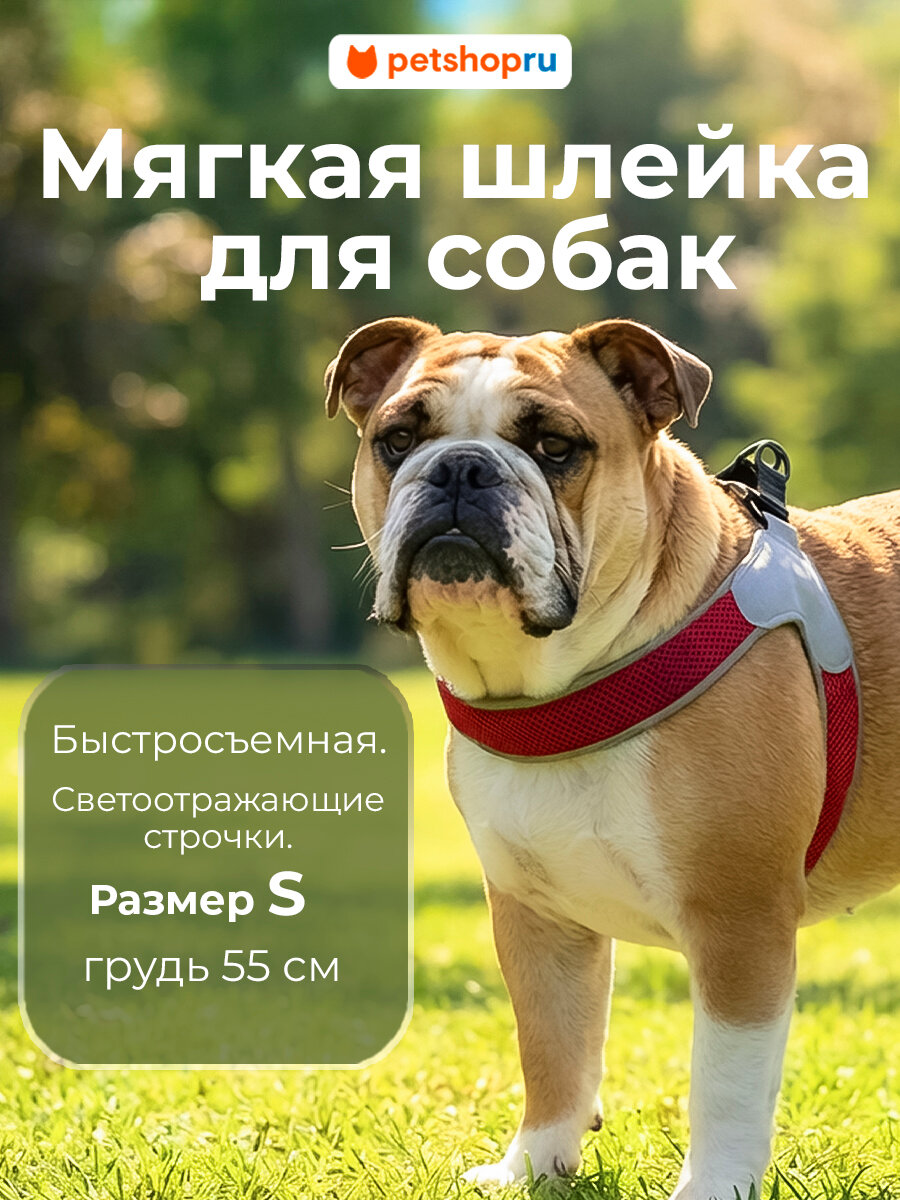 PETSHOP Шлейка для собак мягкая "Спайк" S, винная