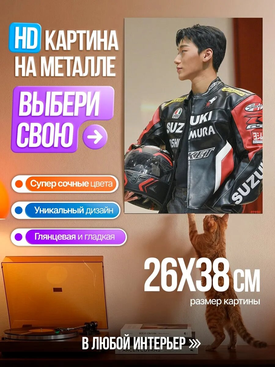 Картина на HD металле Гонщик Сузуки