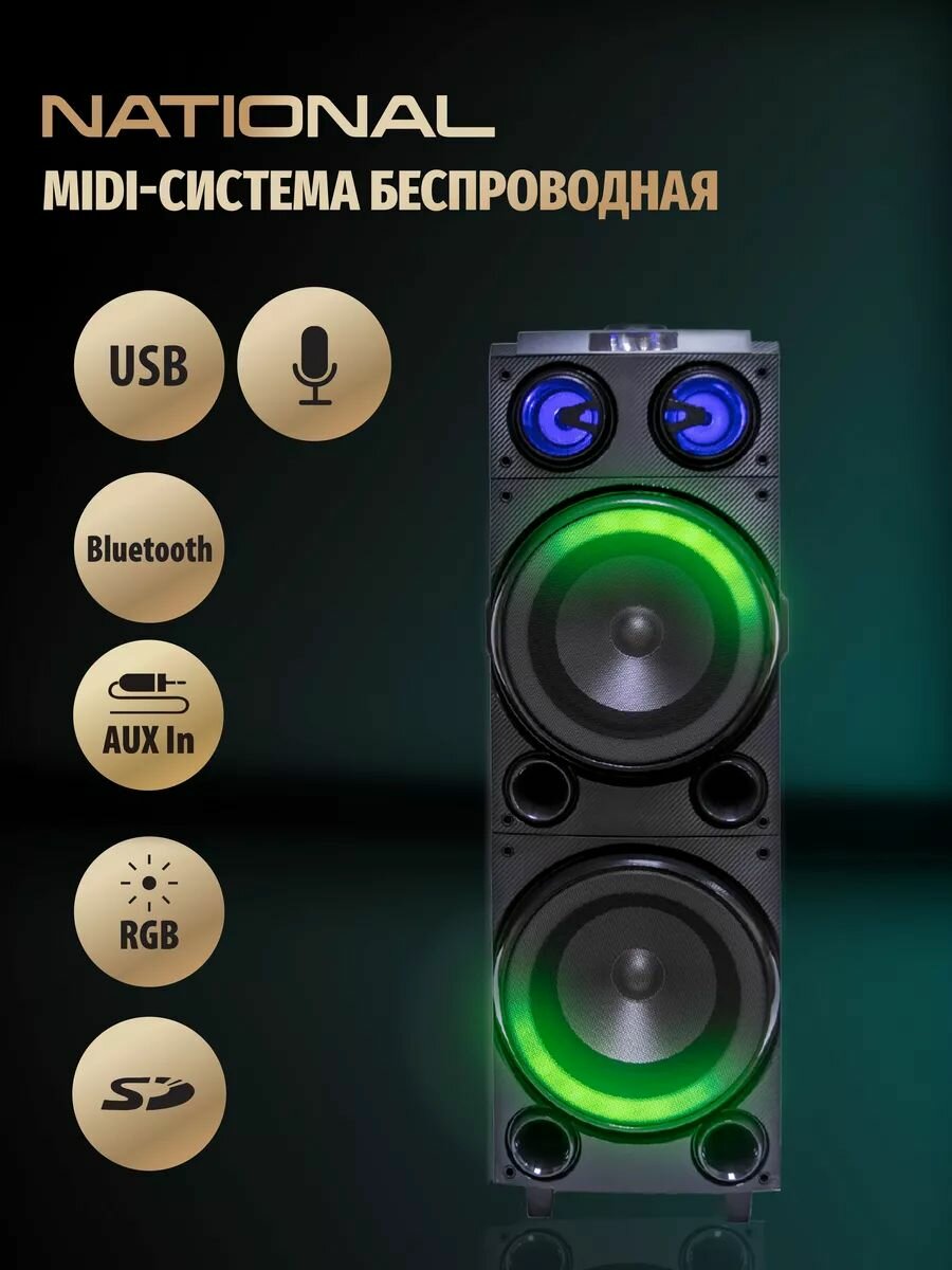 Колонка портативная беспроводная National NSM-V650 c караоке (микрофон в комплекте) и Bluetooth, радио, A2DP, 1000 Вт