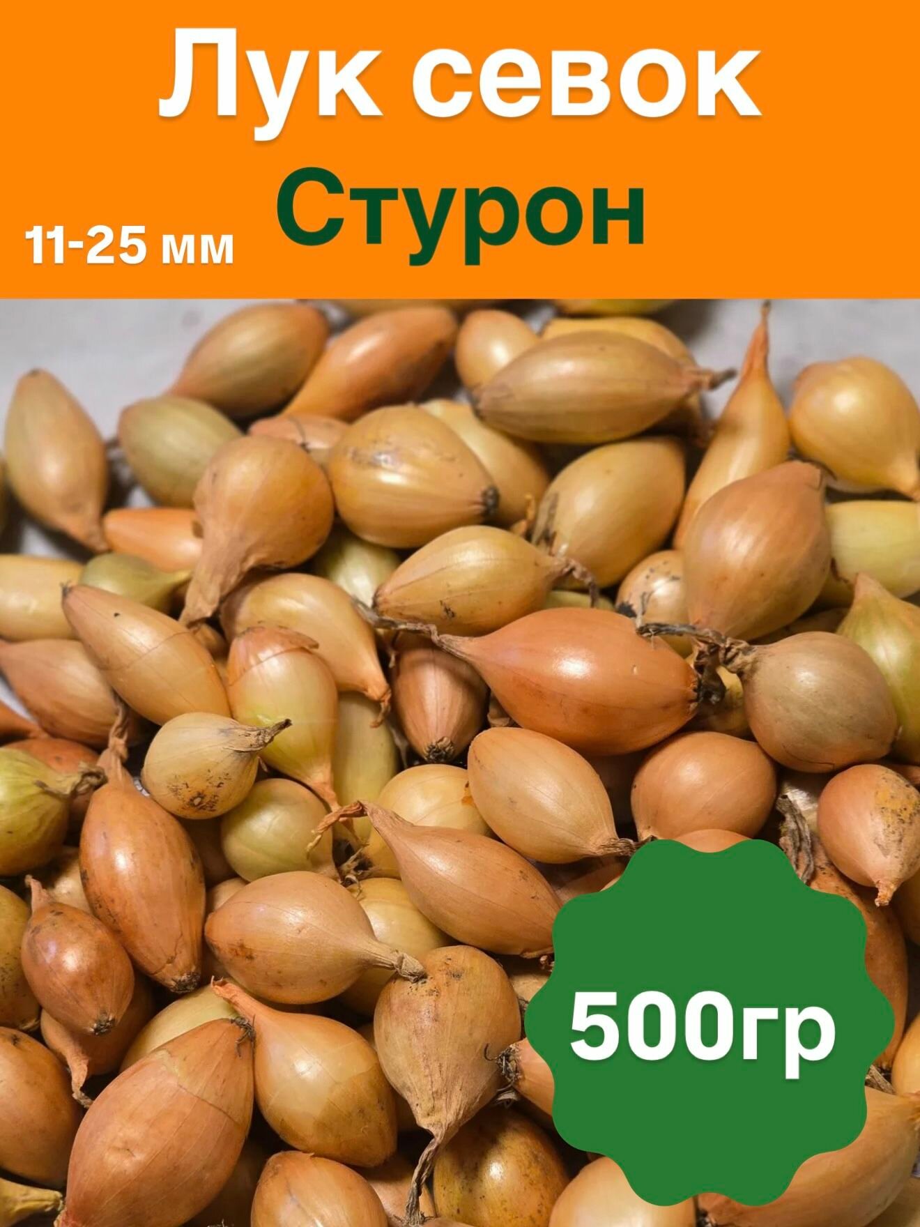 Лук севок Стурон 500г, фракция 10-25 мм, Голландия, для посадки на репку и перо