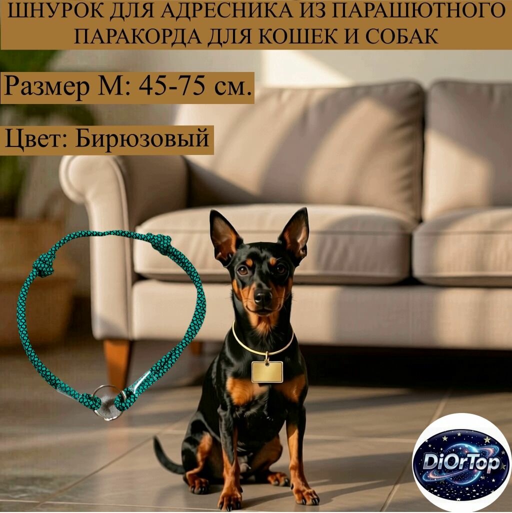 Шнурок для адресника, цвет Бирюзовый, обхват шеи 45-75 см.