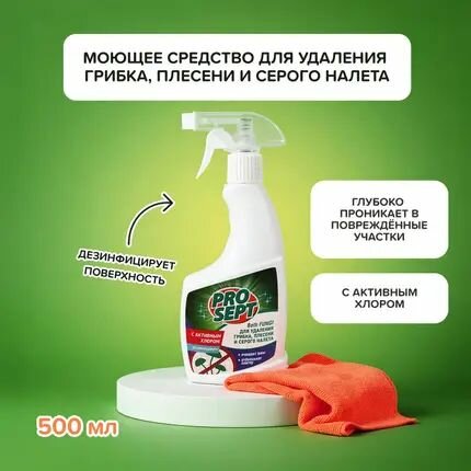 Моющее средство для удаления плесени, PROSEPT, 500 мл, эффективно помогает устранить плесень и грибок с разных поверхностей