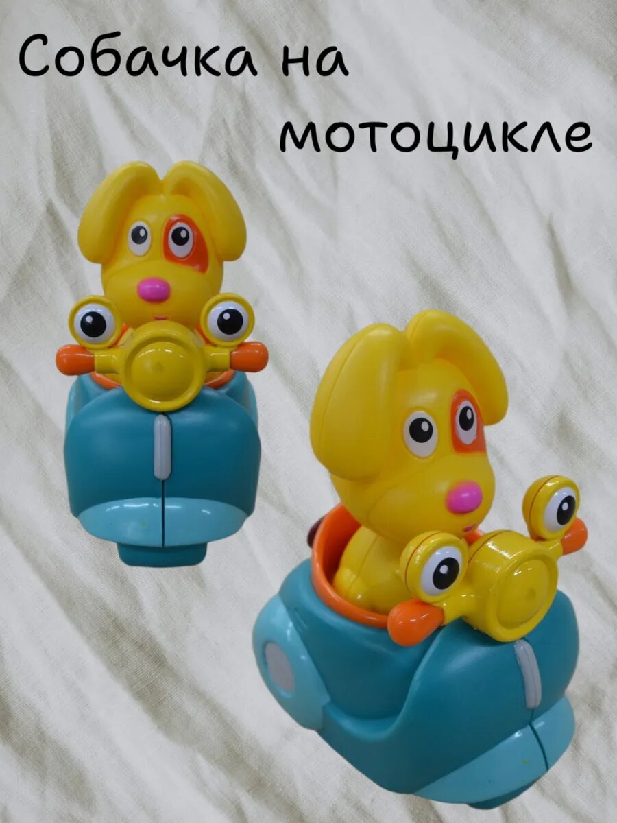 Собачка на мотоцикле