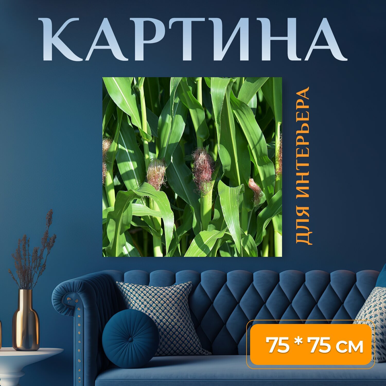 Картина на холсте "Кукуруза, кукуруз, растения" на подрамнике 75х75 см. для интерьера