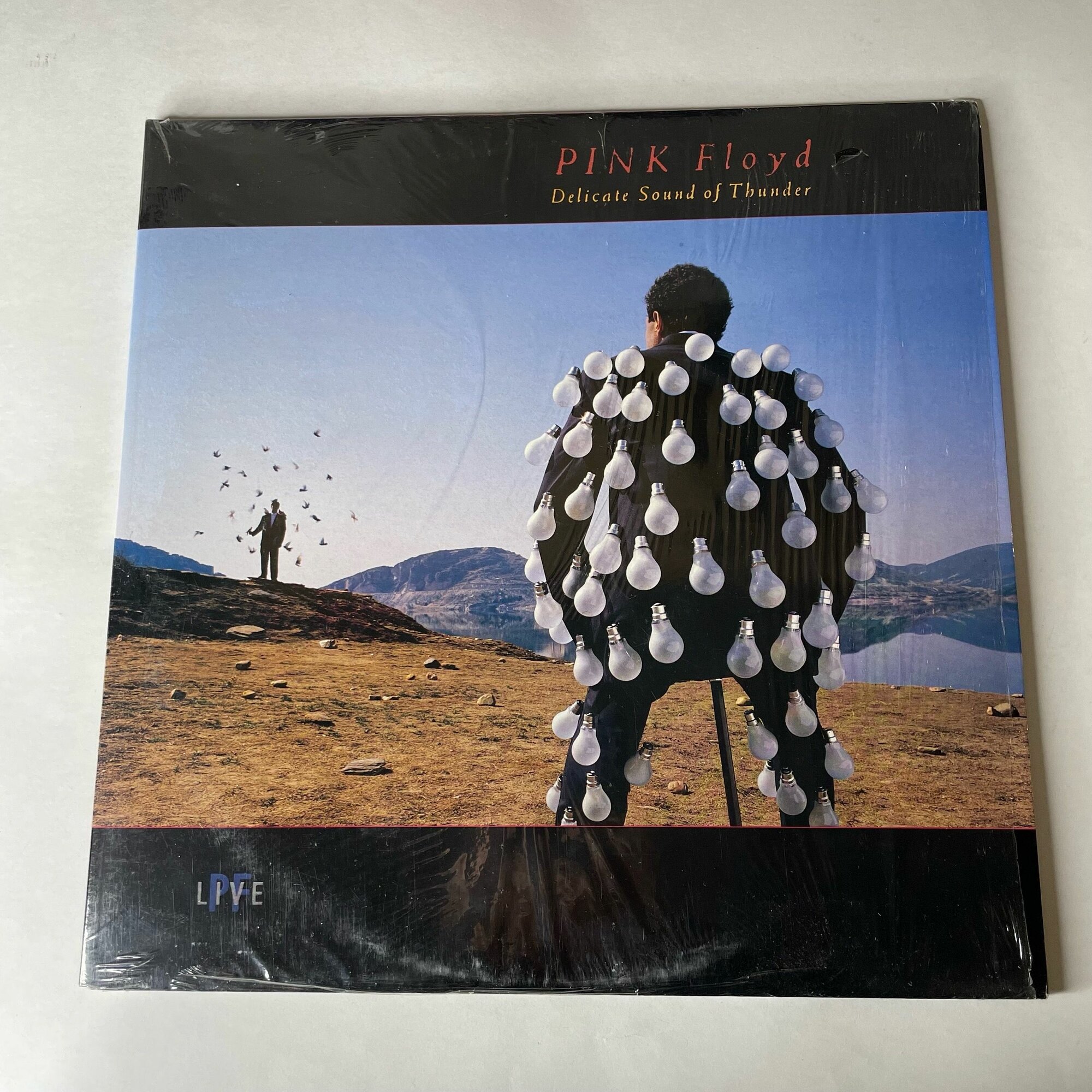 Винтажная виниловая пластинка LP Pink Floyd Delicate Sound Of Thunder (Италия 1988)