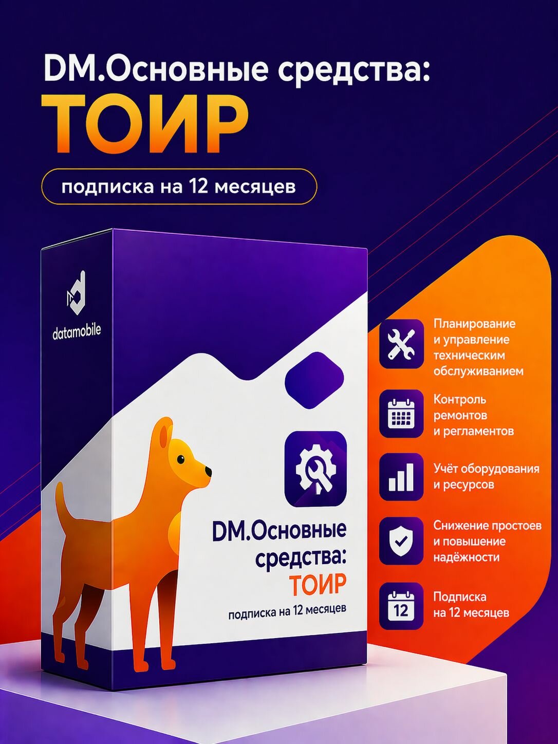 DM. Основные средства: тоир подписка на 12 месяцев