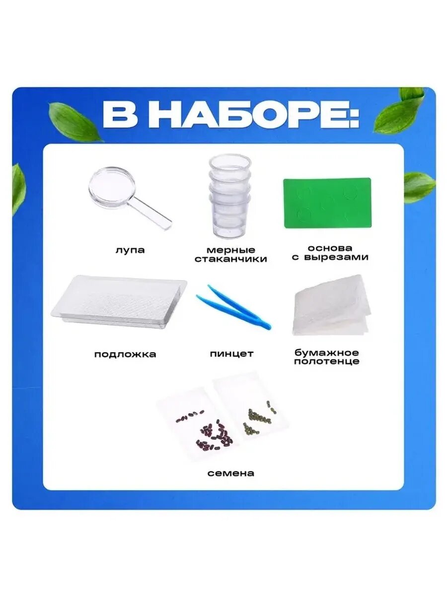 Мини-экосистема для юных натуралистов