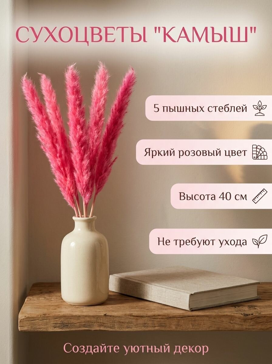 Сухоцвет "Камыш", 5 шт в пучке, ярко-розовый, натуральный сухоцвет, для создания цветочных композиций и декора