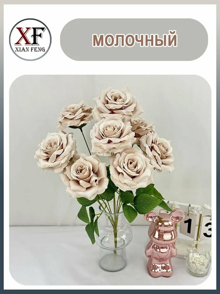 Стабилизированные цветы Пионовидная роза, 48 см, 100 гр, 1 шт