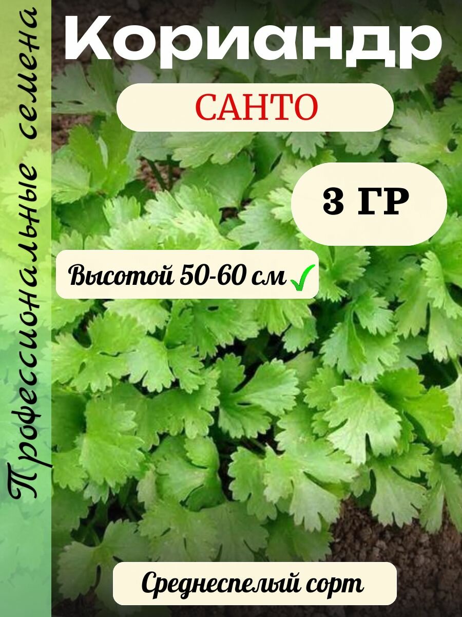 Семена Кориандр Санто 3гр