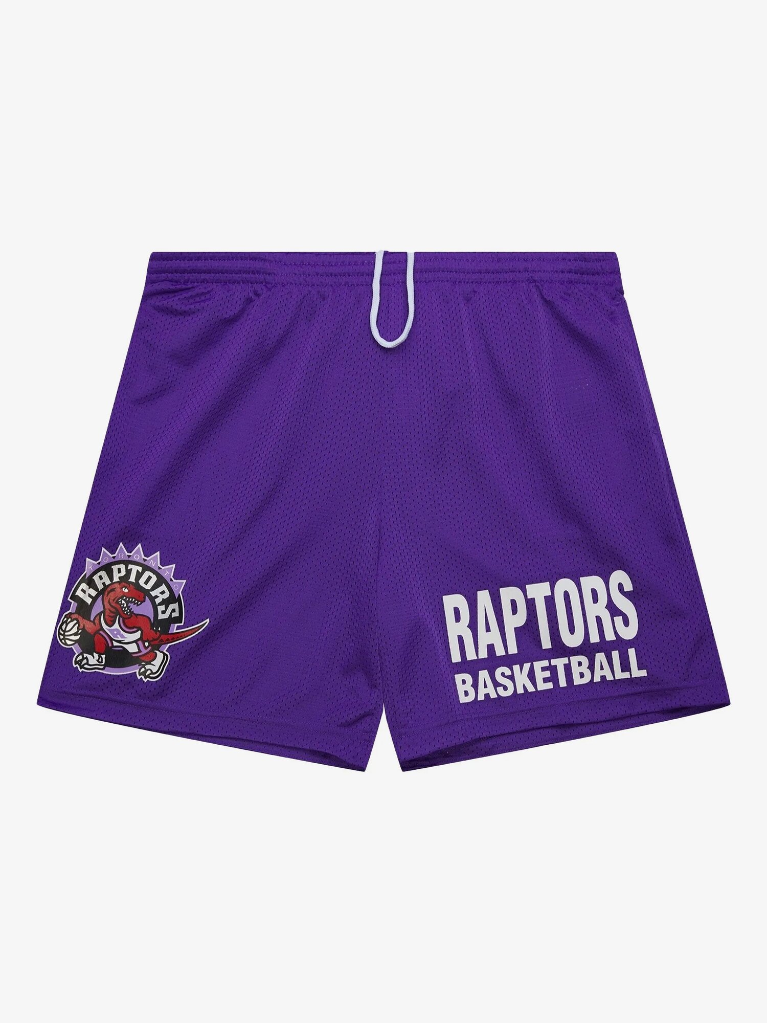 Шорты NBA Raptors