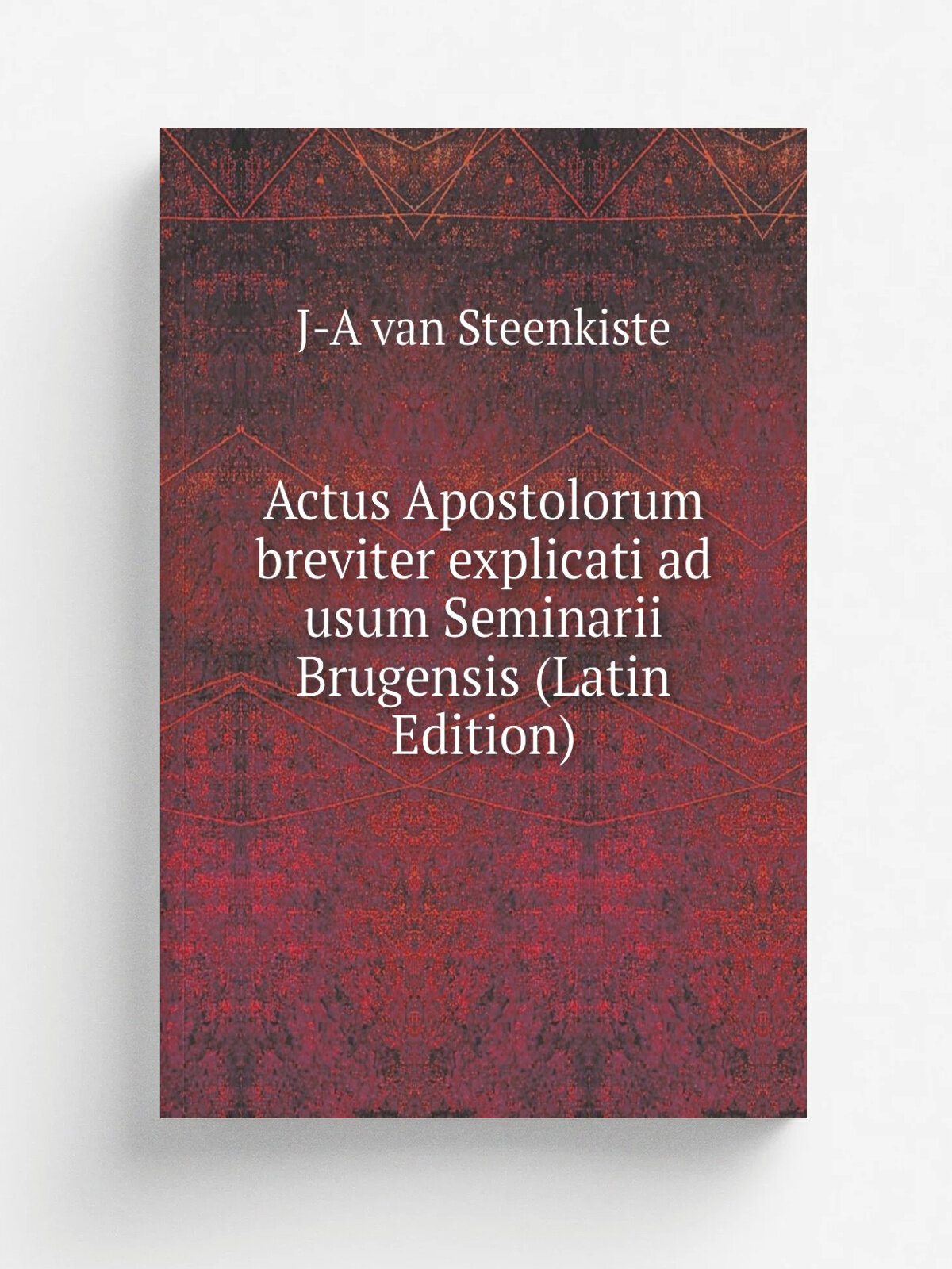 Actus Apostolorum breviter explicati ad usum Seminarii Brugensis (Latin Edition)