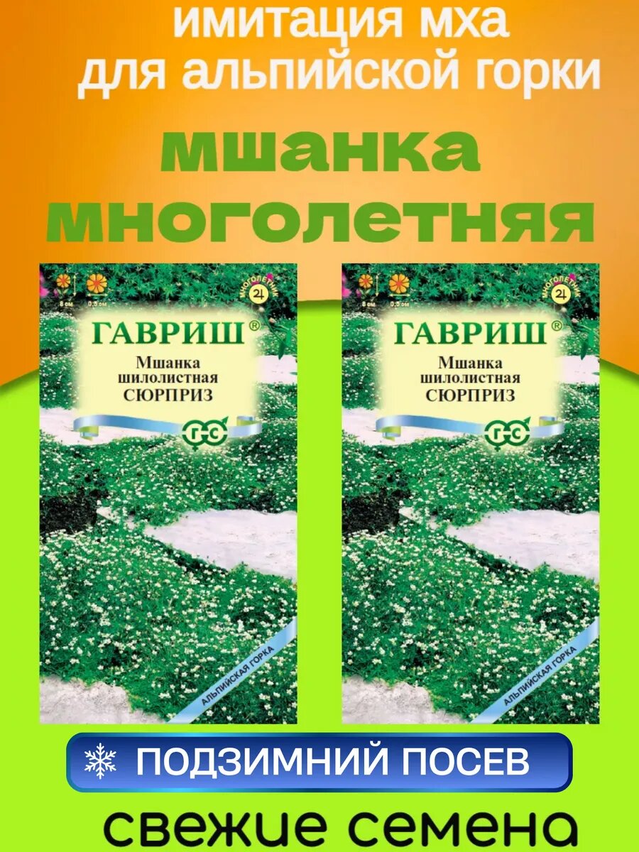 Мшанка многолетняя для альпийской горки 2 пакета *0,01 гр