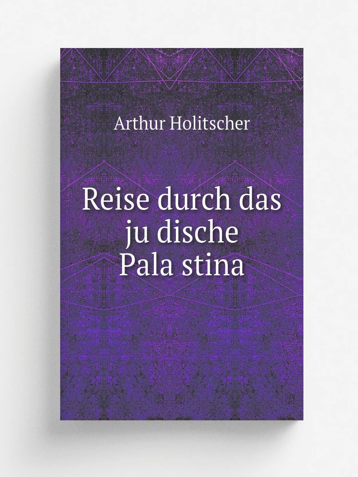 Reise durch das ju.dische Pala.stina | Arthur Holitscher | 1922 | Berlin, S. Fischer | Репринт