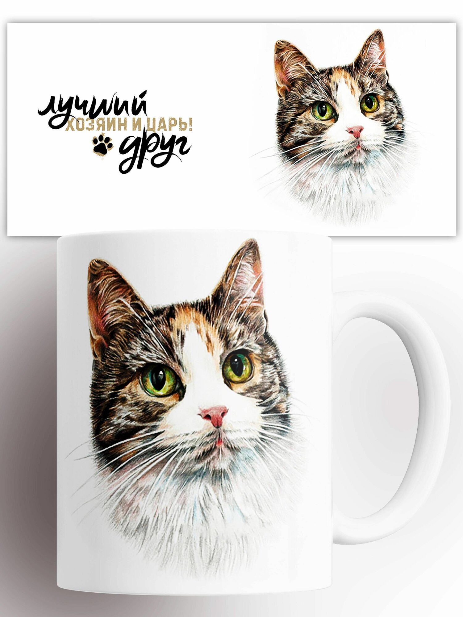 Кружка Трёхцветная кошка cat друг человека хозяин и царь кошкалюб с принтом 330 мл