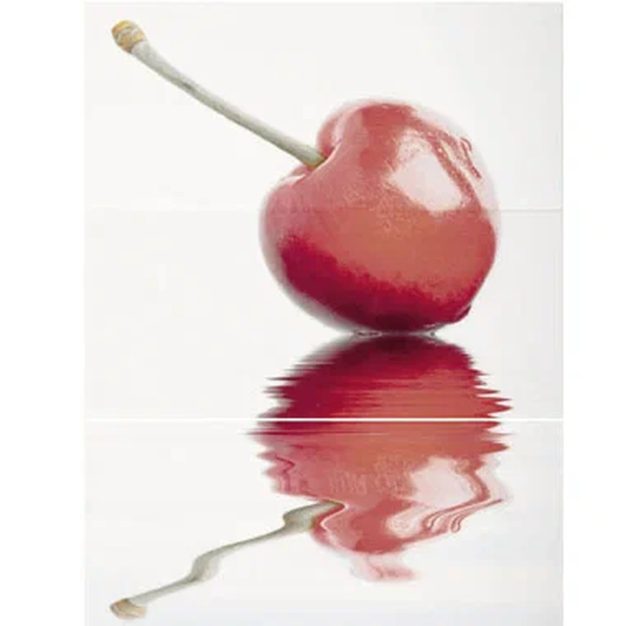 Панно из керамической плитки Novogres Goa Lancer, глянцевое,81x60 см, комплект из 3 штук