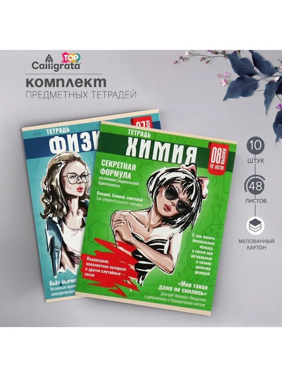 Комплект тетрадей 'Журнал' 10 шт, 48 листов