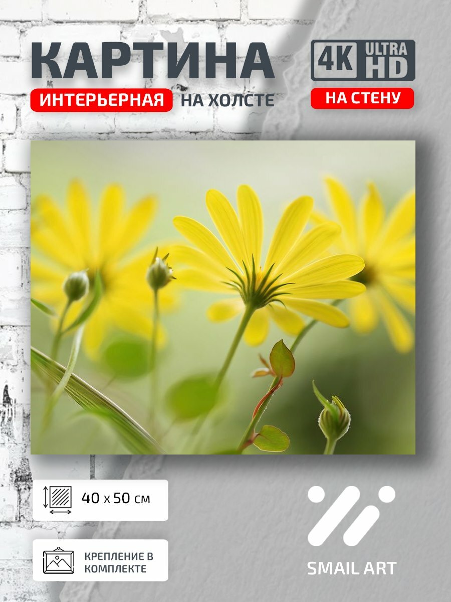 Картина на холсте интерьерная 40 на 50 на стену Желтые Mood для офиса атмосфера интерьер