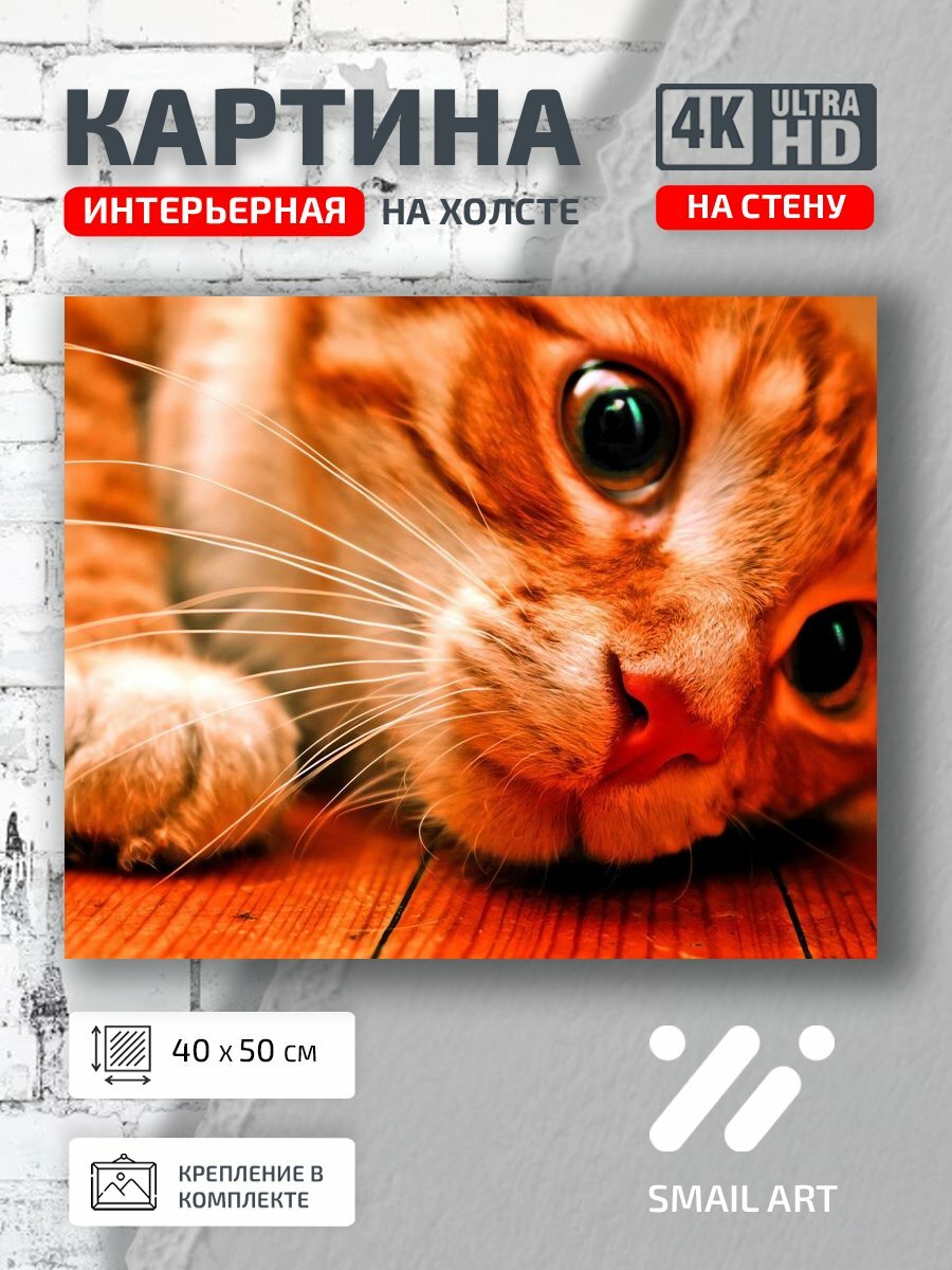 Картина на холсте интерьерная 40 на 50 на стену Полу Animal для детской animal style декор