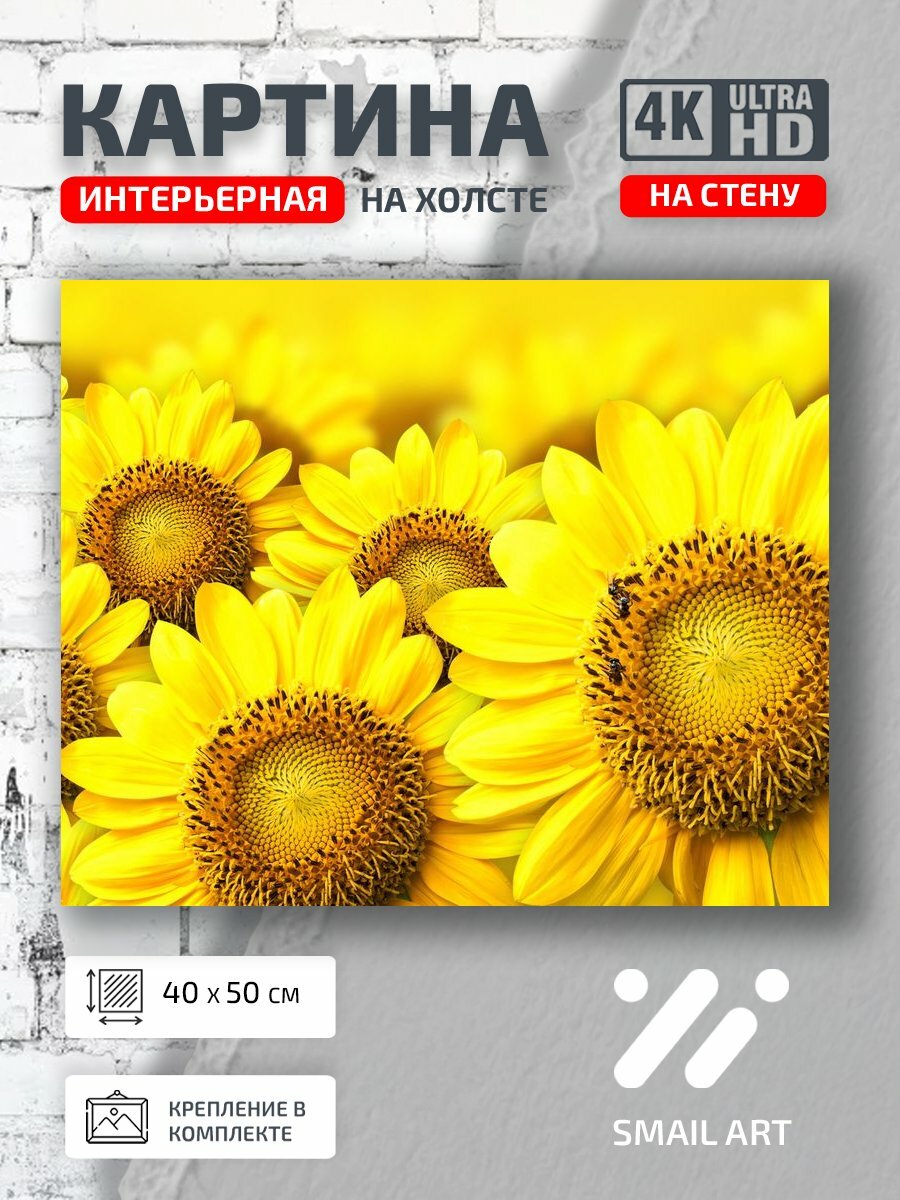 Картина на холсте интерьерная 40 на 50 на стену Подсолнухи Landscape для офиса пейзаж декор