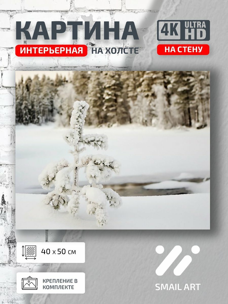 Картина на холсте интерьерная 40 на 50 на стену Зима spruce для гостиной пейзаж интерьер