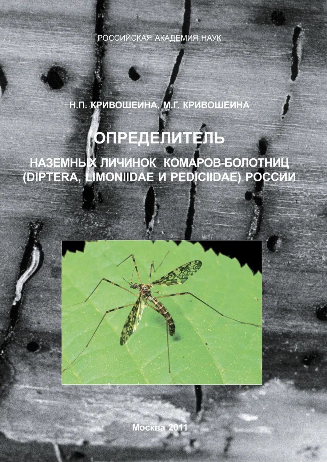 Определитель наземных личинок комаров-болотниц (Diptera, Limoniidae и Pediciidae) России [Цифровая книга]