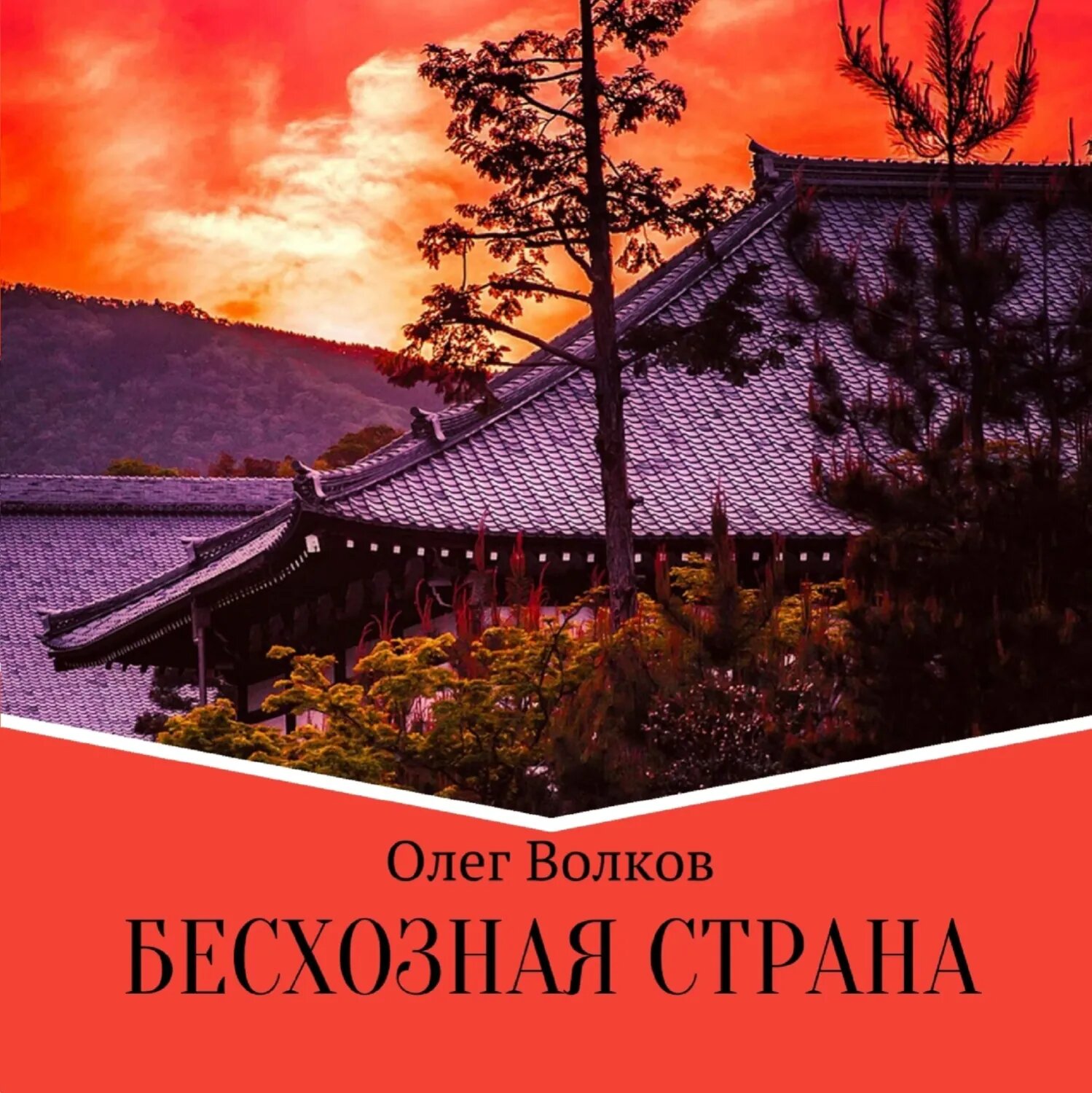 Бесхозная страна [Аудиокнига]