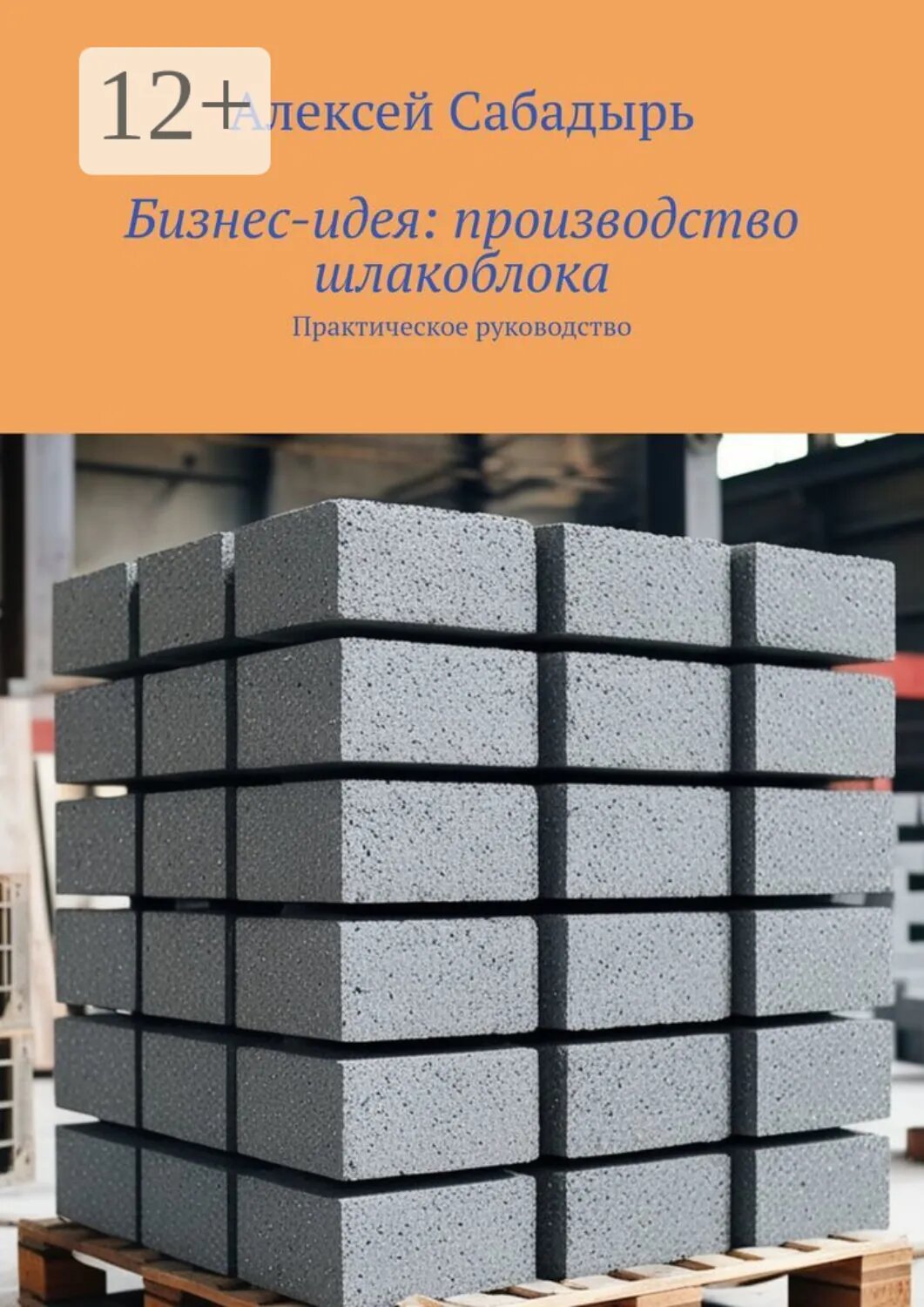 Бизнес-идея: производство шлакоблока. Практическое руководство [Цифровая книга]
