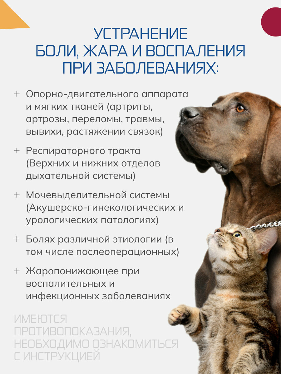 NITA-FARM Вемелкам, 20 мл, противовоспалительный обезболивающий раствор для собак и кошек — фото 1