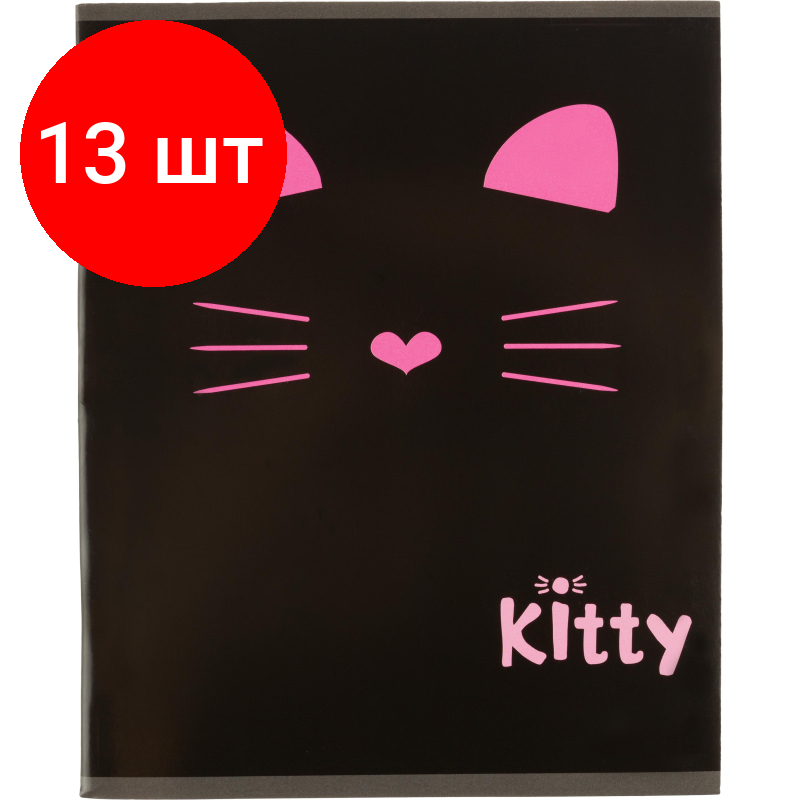 Комплект 13 штук, Тетрадь общая А5 48л Kitty черн, клет, скреп, ВД-лак