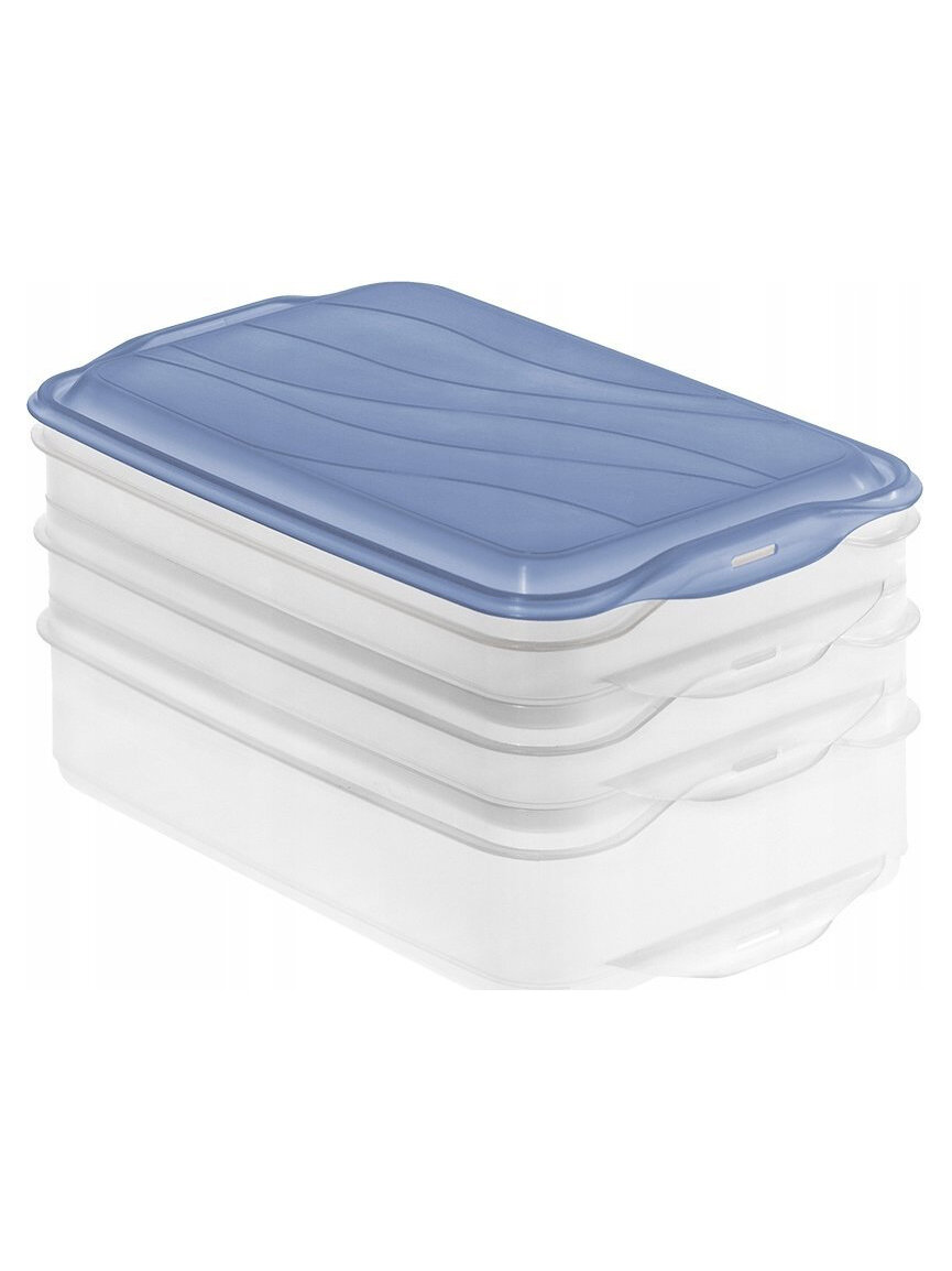 Контейнер для продуктов с тремя секциями Rotho RONDO 2*0,75 л / 1*1,35 л, голубой горизонт