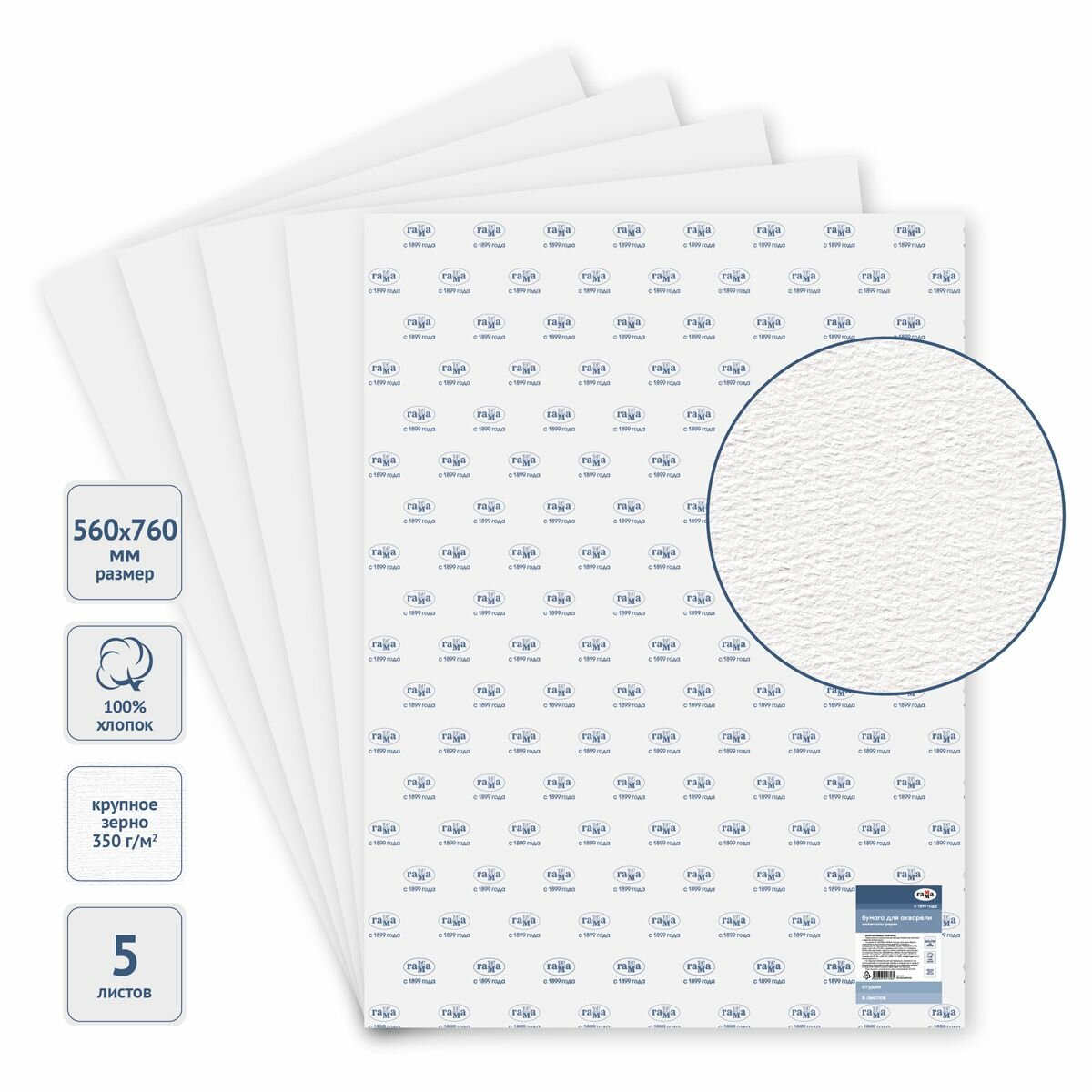 Бумага для акварели, 5л, 560*760мм, Гамма "Студия", 350г/м2, крупное зерно, 100% хлопок