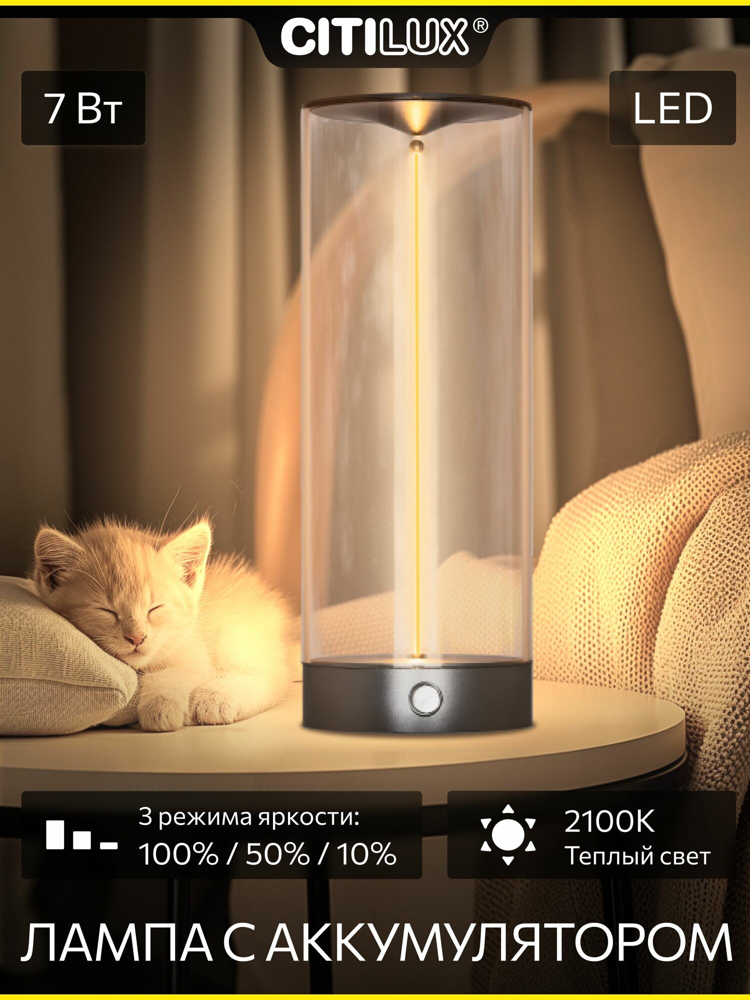 Аккумуляторная настольная лампа Citilux STRENG CL811011 LED, графит, диммер, USB-C