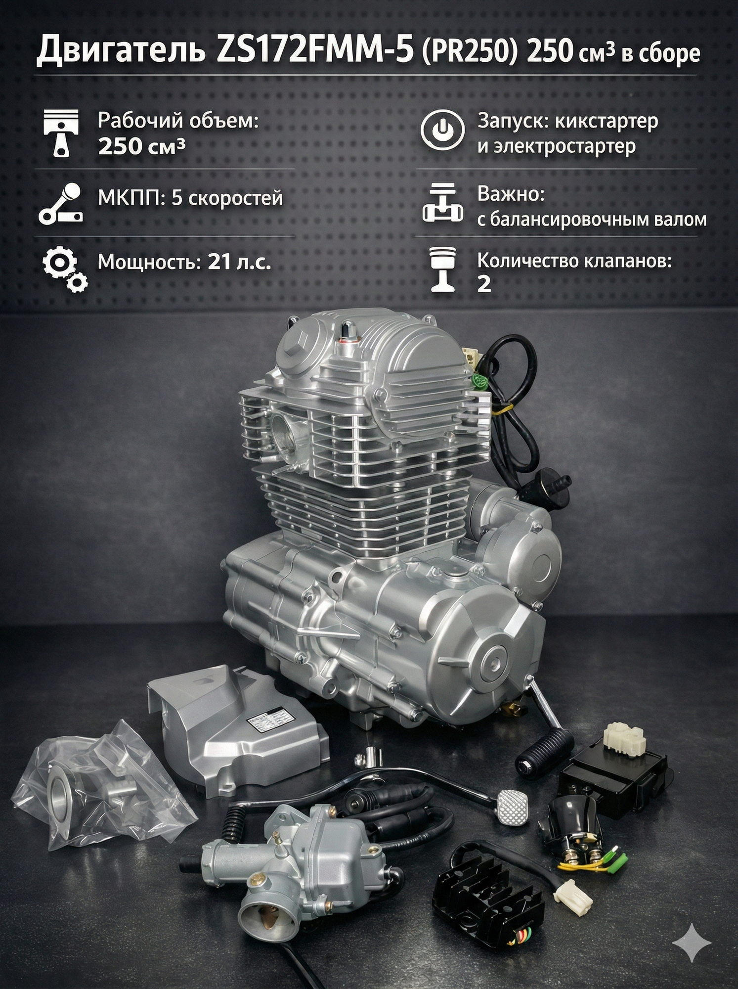 Двигатель ZS172FMM-5 (PR250) для эндуро, кроссового мотоцикла в сборе