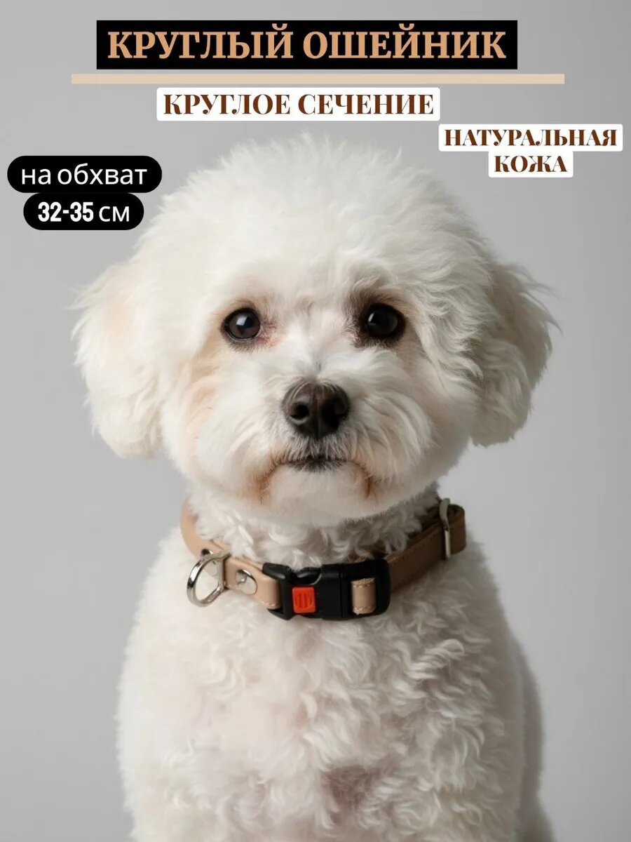 Dogbond Ошейник для шпица круглый кожаный 32-35 см