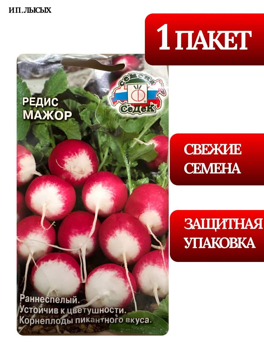 Семена Редис "Мажор"
