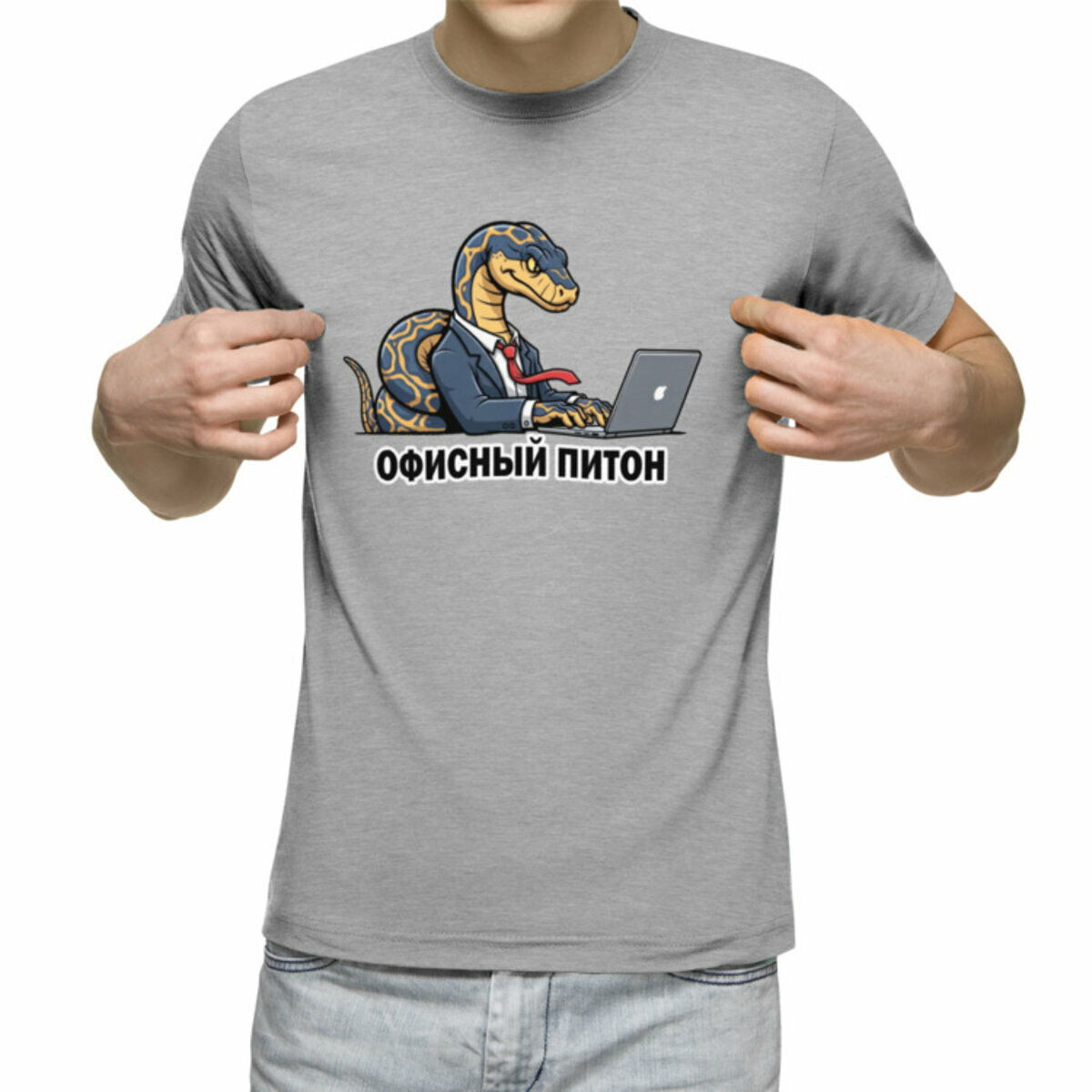 Мужская футболка «Офисный питон за ноутбуком.» (серый меланж, 2XL)