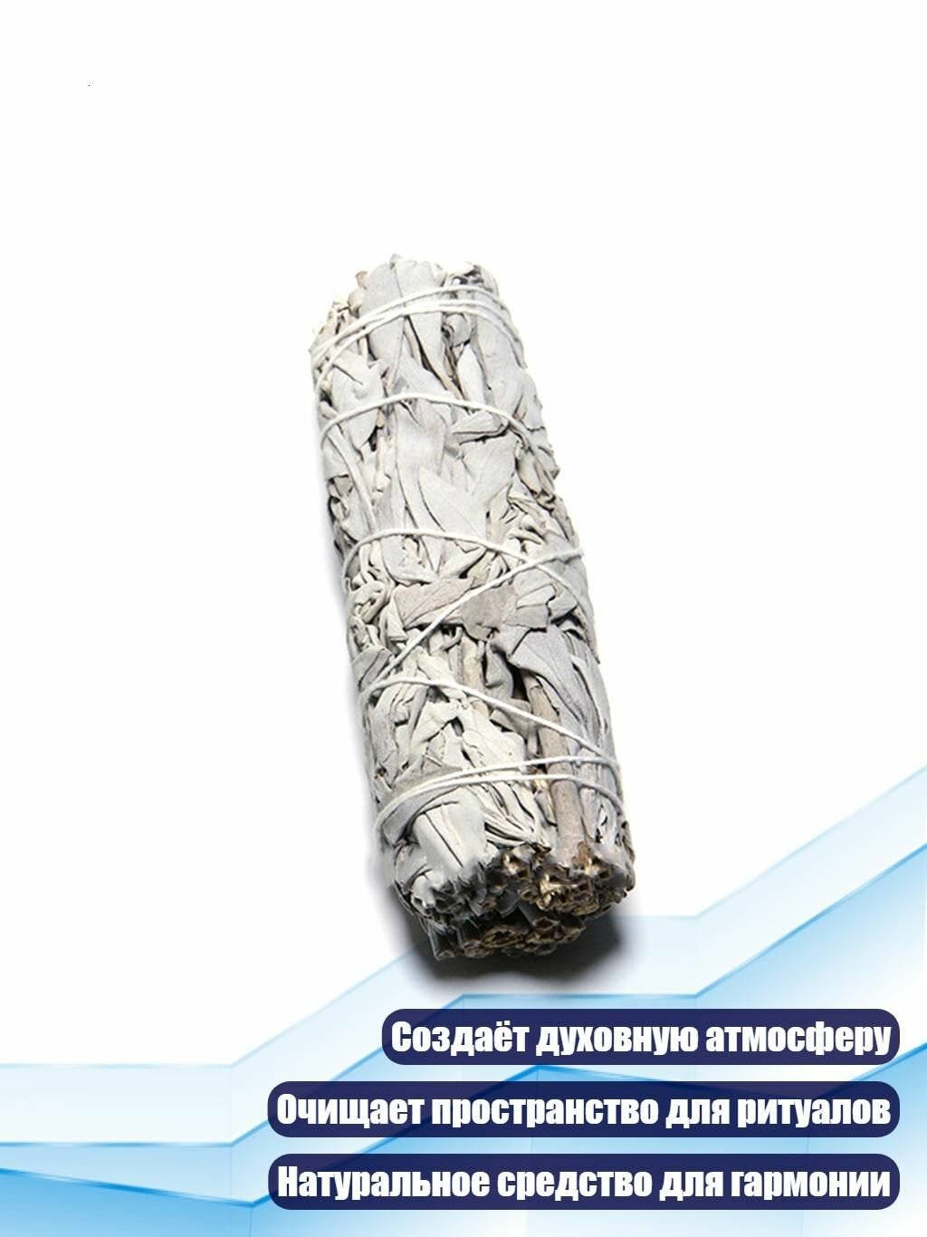 Белый шалфей для очищения