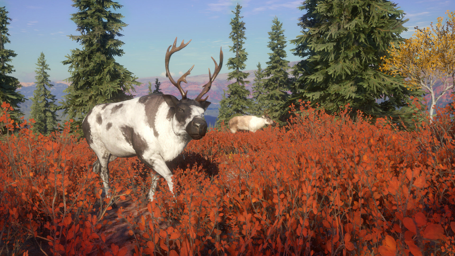 TheHunter: Call of the Wild - Yukon Valley DLC PC Steam Ключ