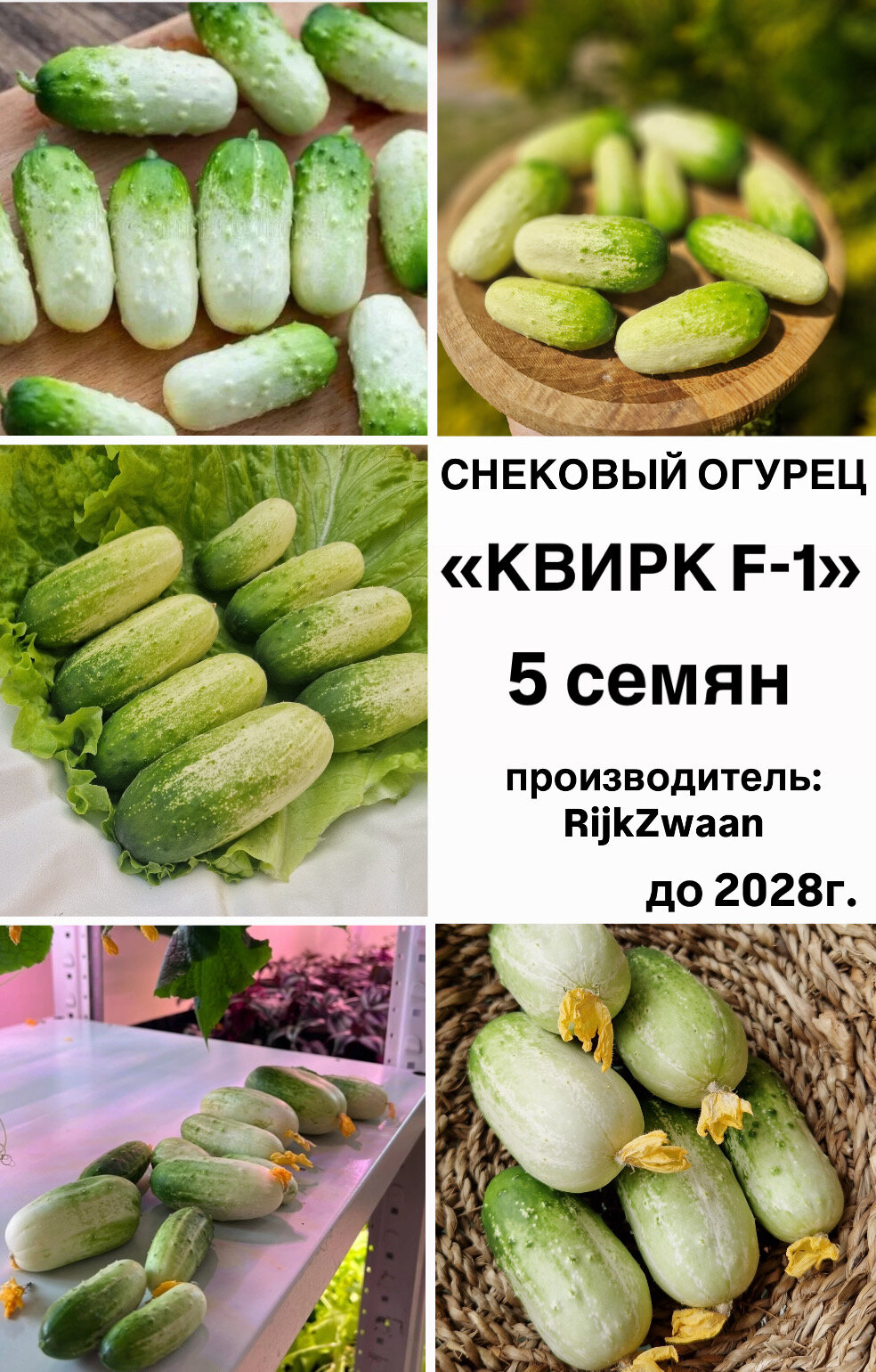 Снековый огурец квирк F-1 (5 семян)