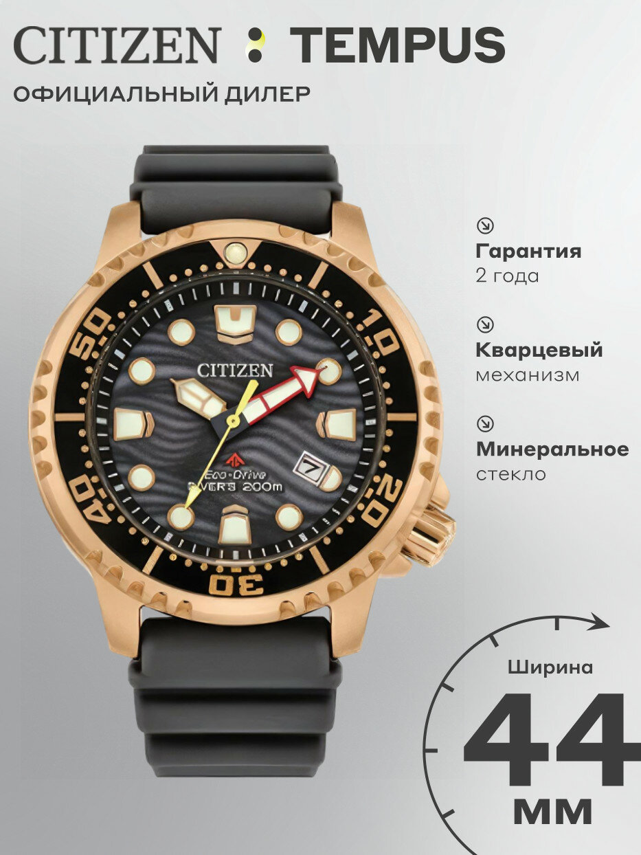 Наручные часы Promaster