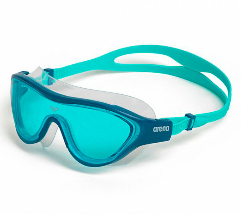Очки-маска для плавания Arena The One Mask 107 (107)